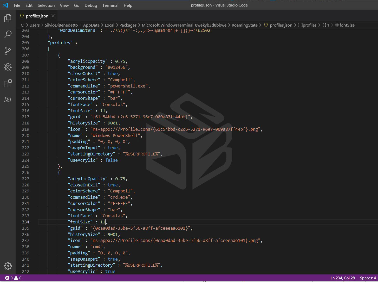 Silvio Di Benedetto - How to personalize Windows Terminal